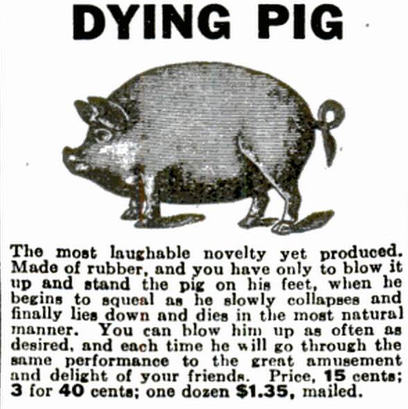 Dying Pig - "the most laughable novelty yet produced" - Boing Boing