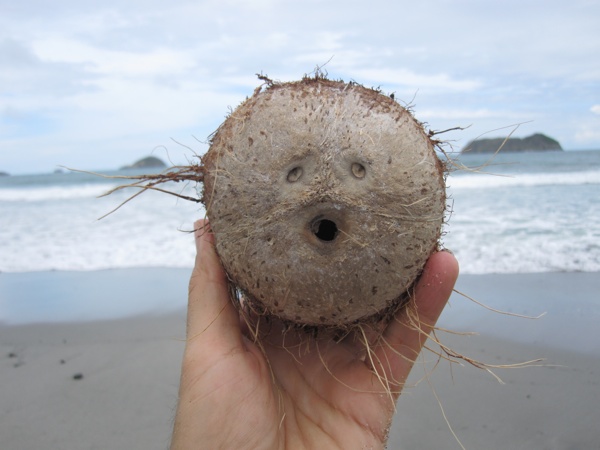 Coconut face - Boing Boing