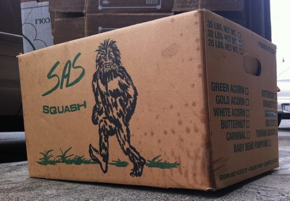 Sasquatch Squash - Boing Boing