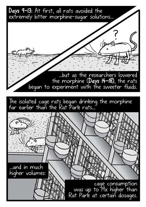Comic about the Rat Park drug addiction experiment - Boing Boing