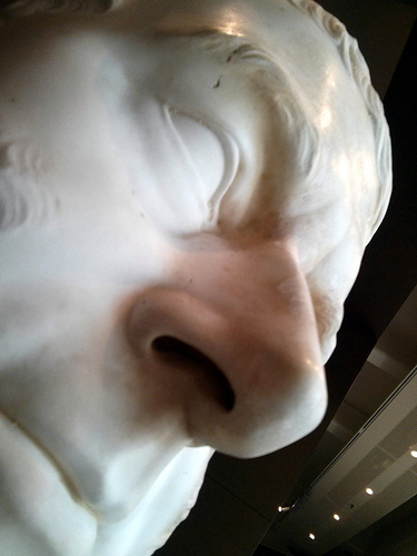 Nostril-wedged maggots of Portsmouth: Otorhinolaryngologist's expert ...