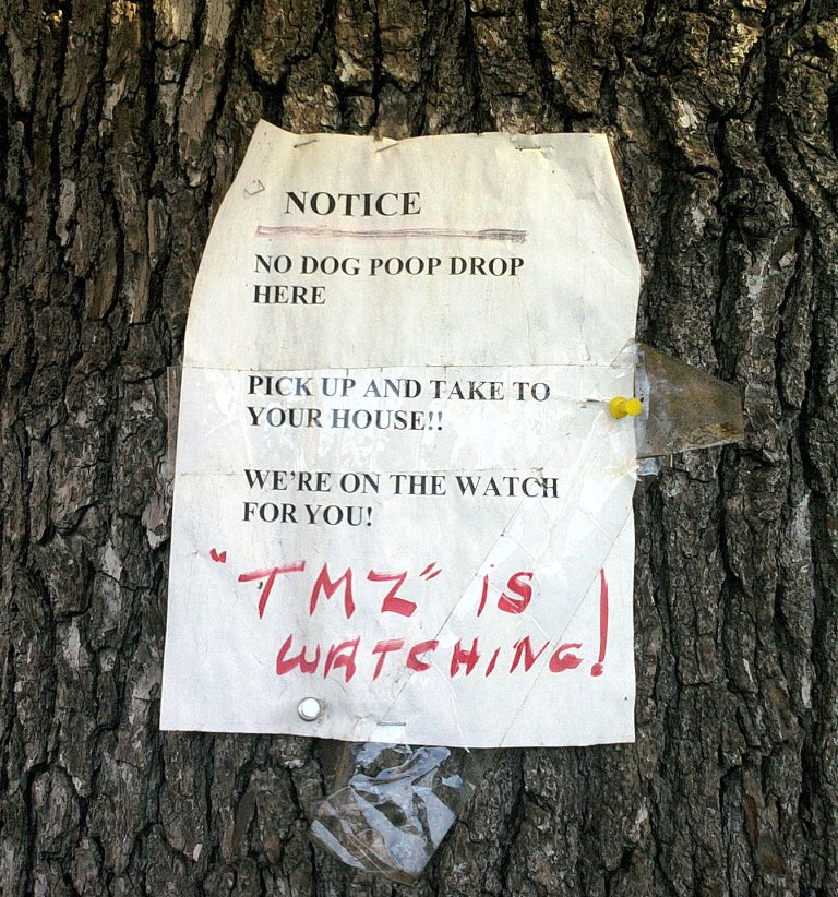 Excellent angry neighbor sign on tree: 'No dog poop here, TMZ is ...