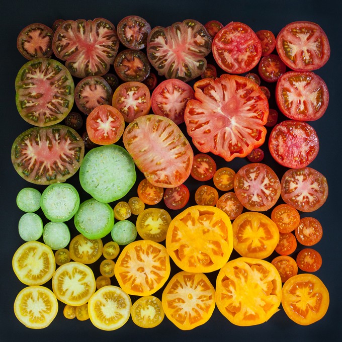 Color-organized arrays of food and plants, photographed by Emily ...