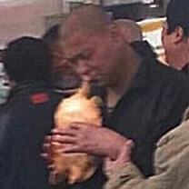 Gentleman tries to bite tortoise, but tortoise bites first - Boing Boing