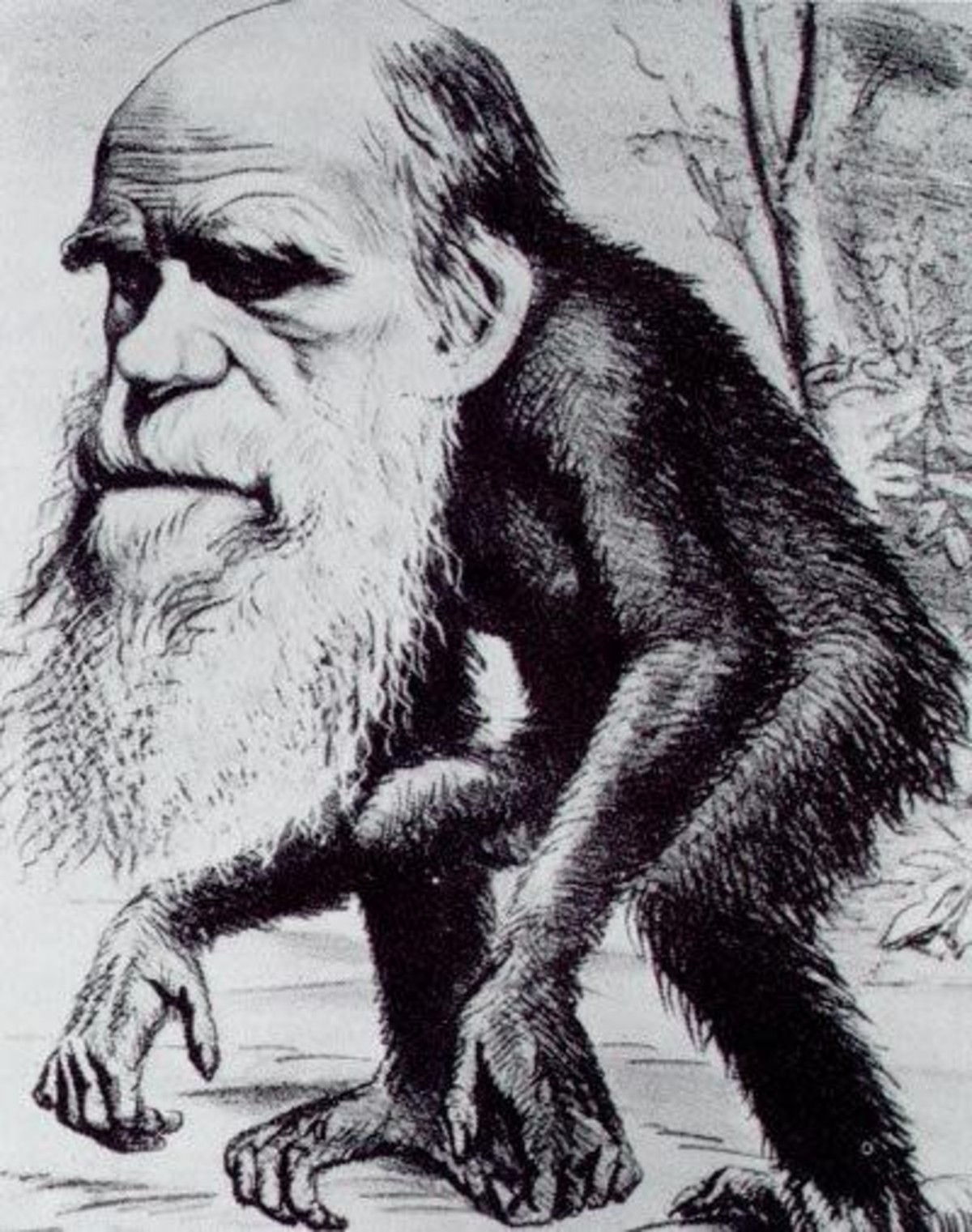 What it's like to teach evolution at the University of Kentucky - Boing ...
