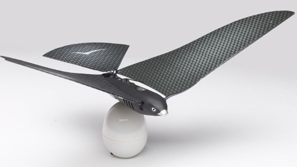 Bionic Bird: a cat-foolin', smartphone-controlled ornithopter - Boing Boing