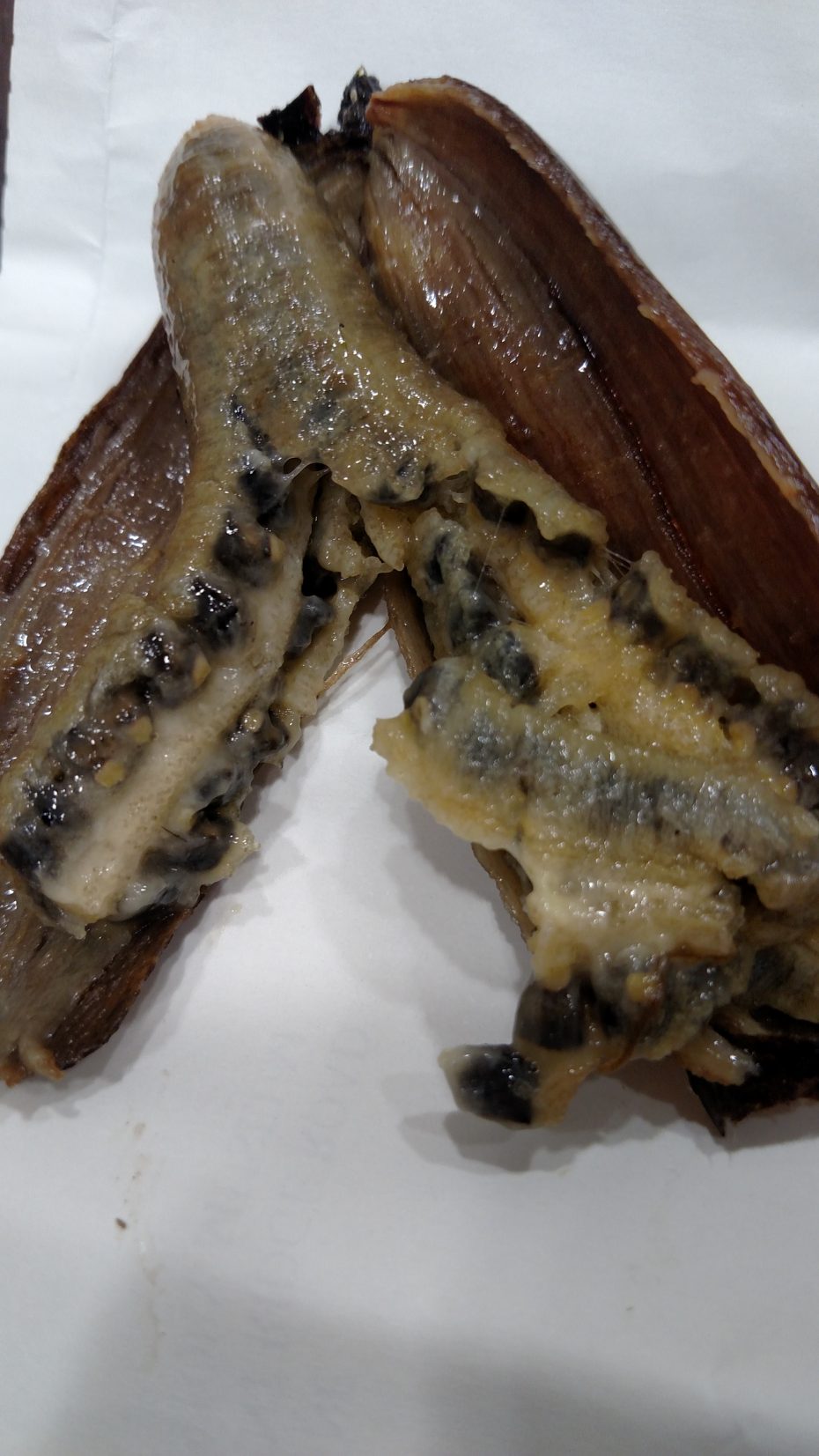 Just look at this exploding, extremely ripe wild banana. - Boing Boing