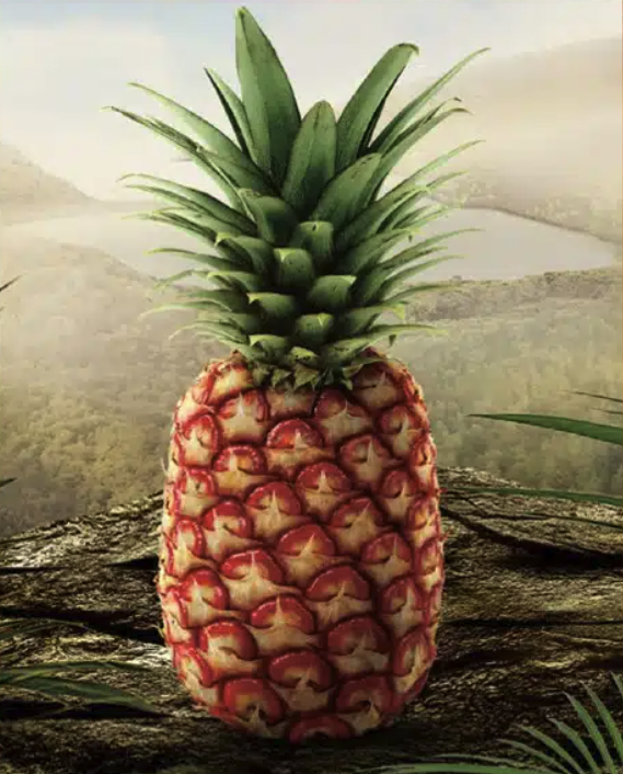 Ruby red pineapple is one expensive pizza topping - Boing Boing