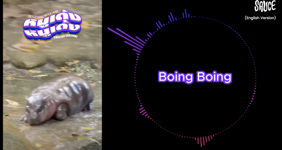 Listen to Moo Deng's catchy new theme song - Boing Boing