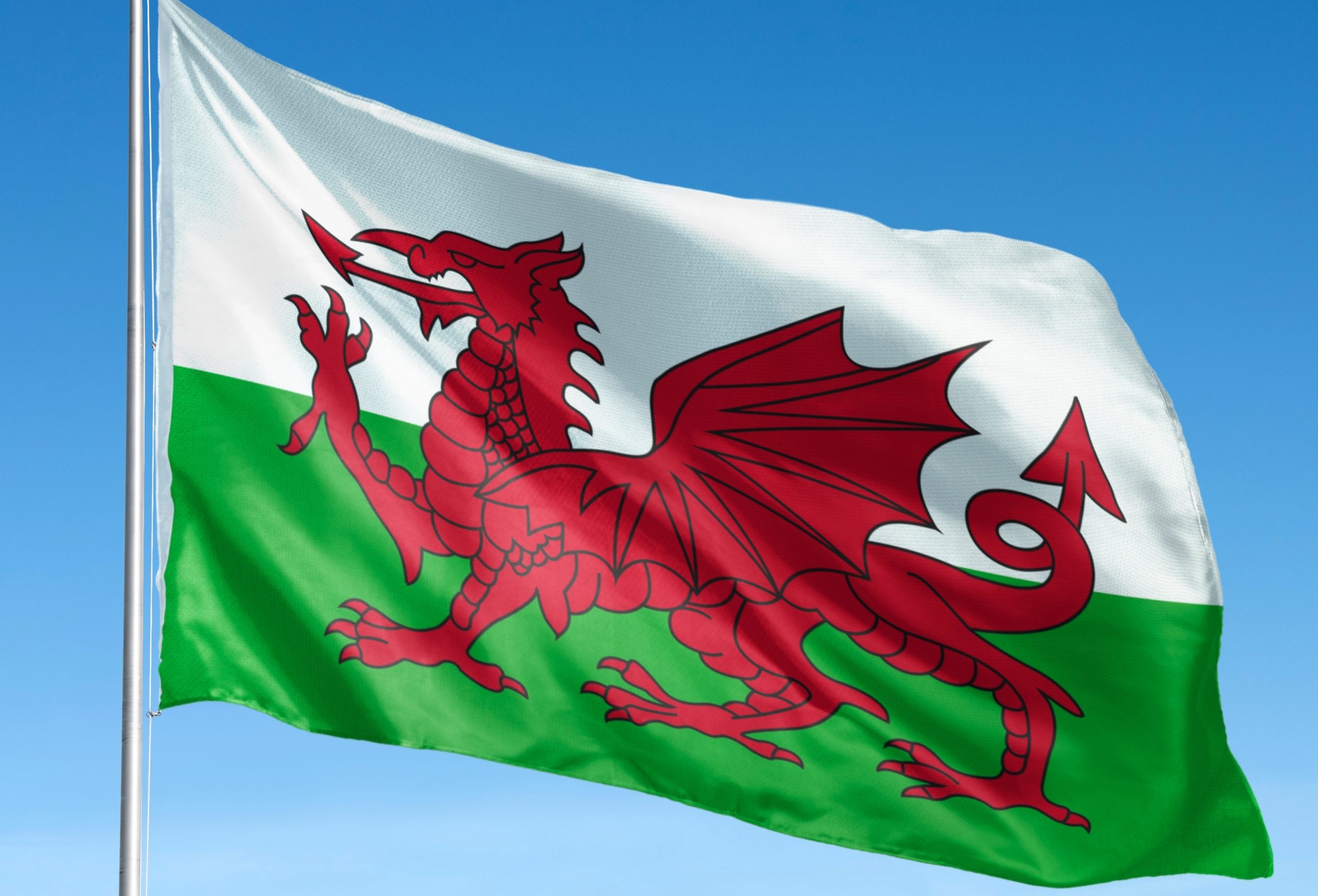 Left-leaning Plaid Cymru crushes Labour Party in Welsh by-election ...